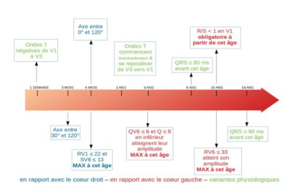 Spécificité de l'ECG de l'enfant — Uness Cardiologie